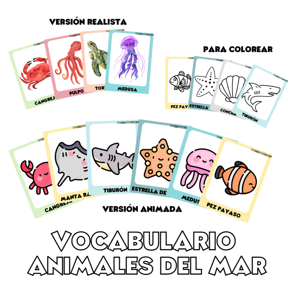 Vocabulario animales del mar - Yourlittlebigtrip