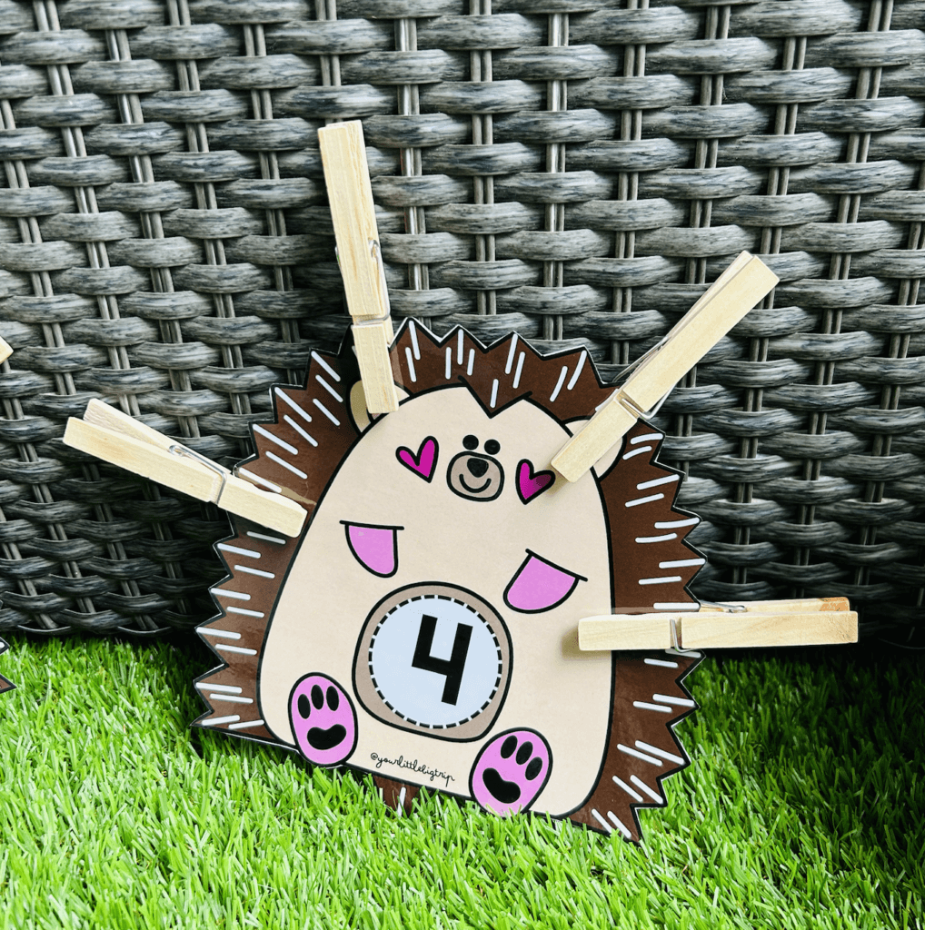 Erizos matemáticos - Yourlittlebigtrip